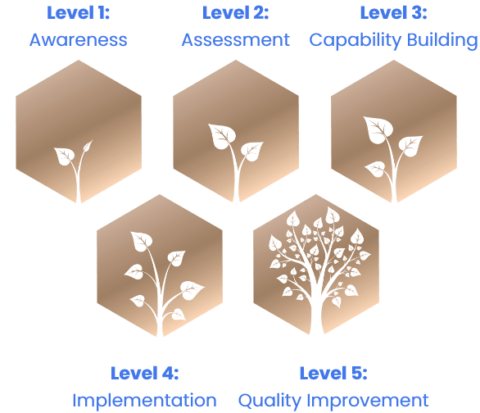 Maturity Model - The Exeter Group
